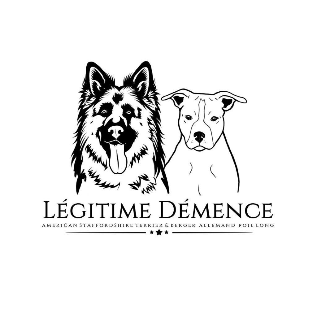 Chiots disponibles - Elevage Légitime Démence - eleveur de chiens ...